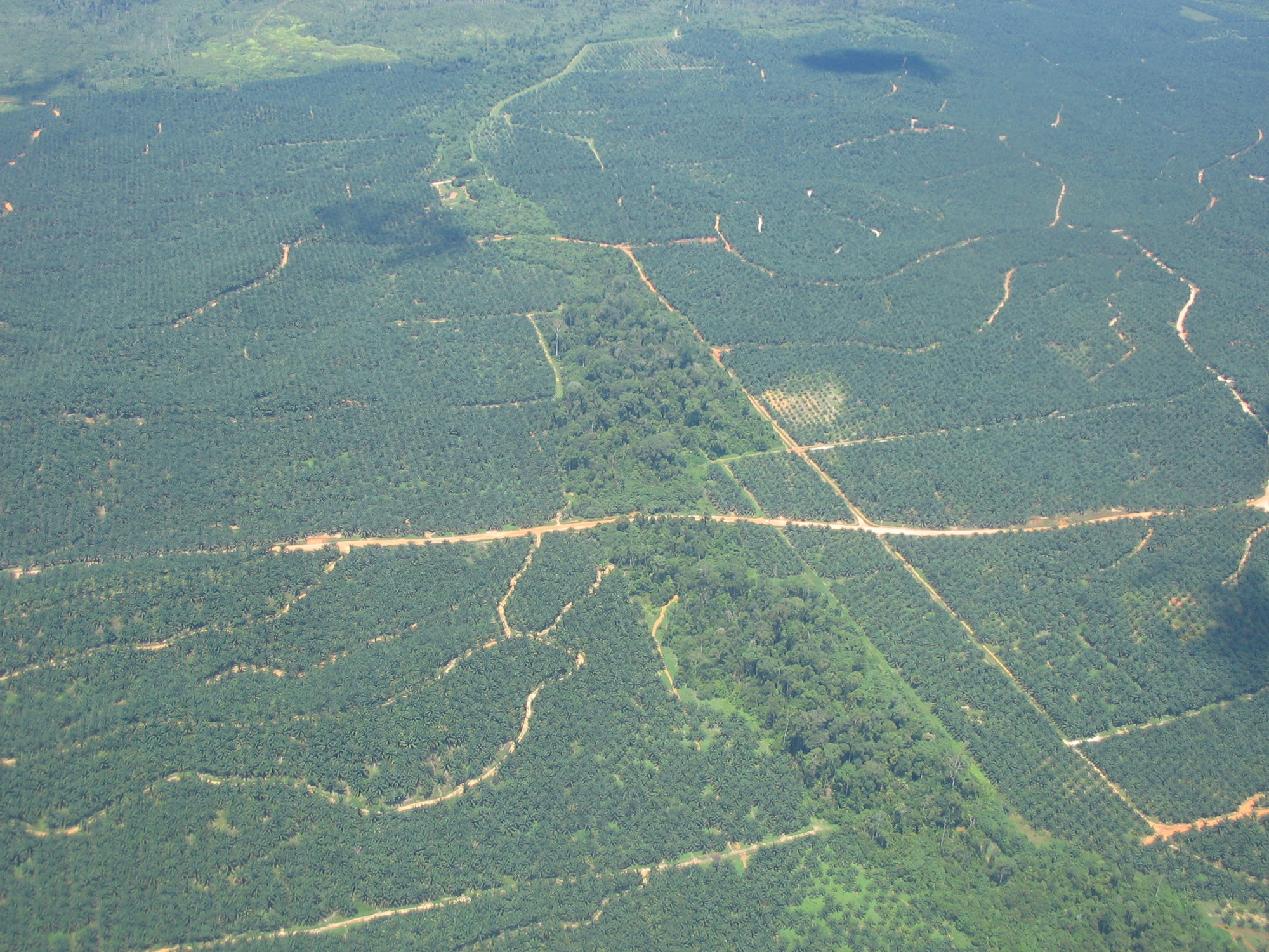 Transform Platform App